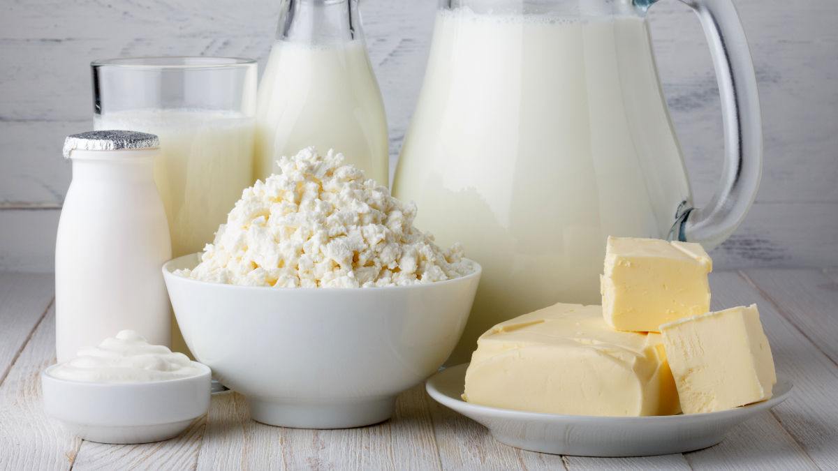 La dairy-maid et ses pots-au-lait | La vie au XIXe siècle